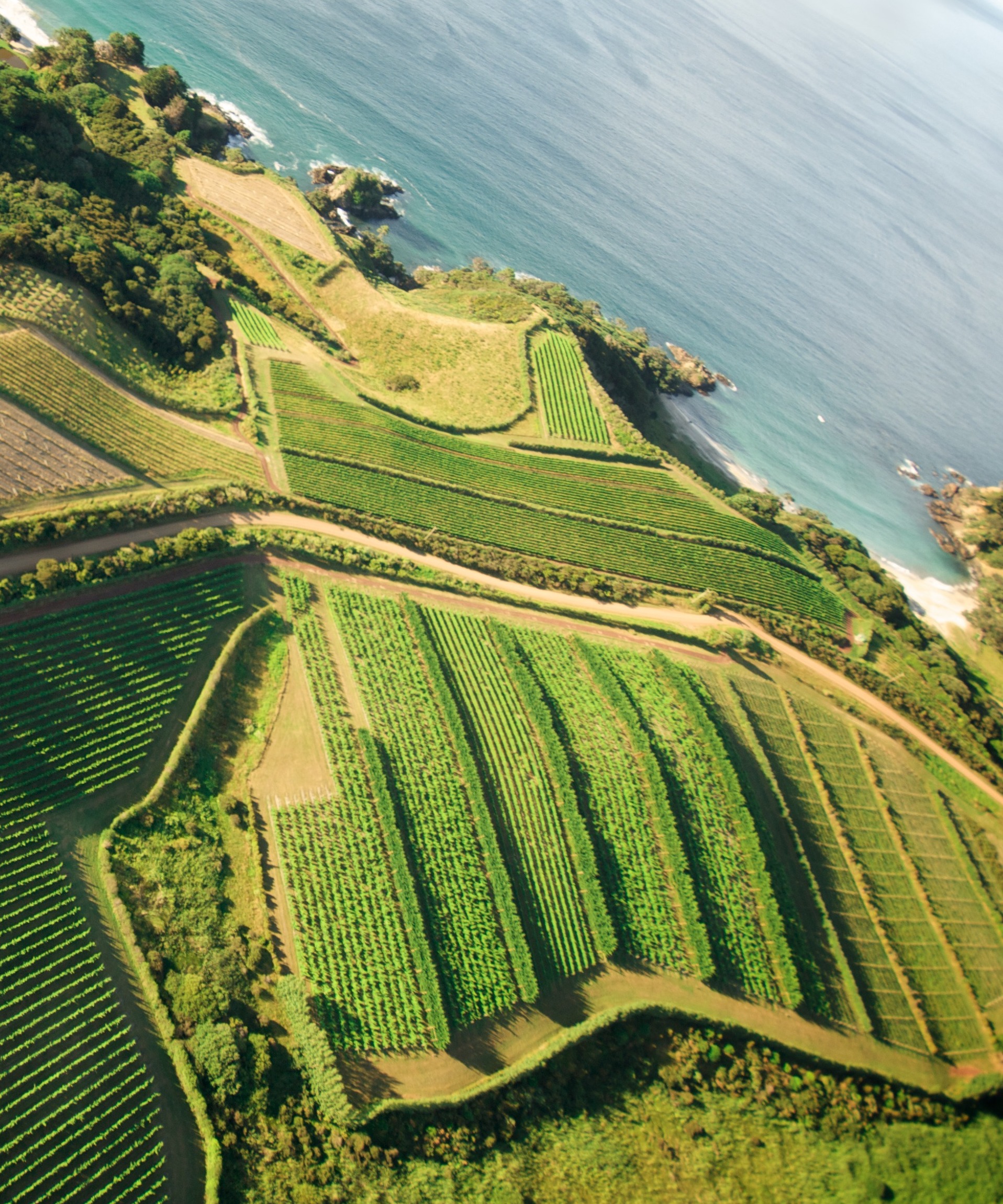 Auckland Wine And Vineyard Experiences – Landmarks
